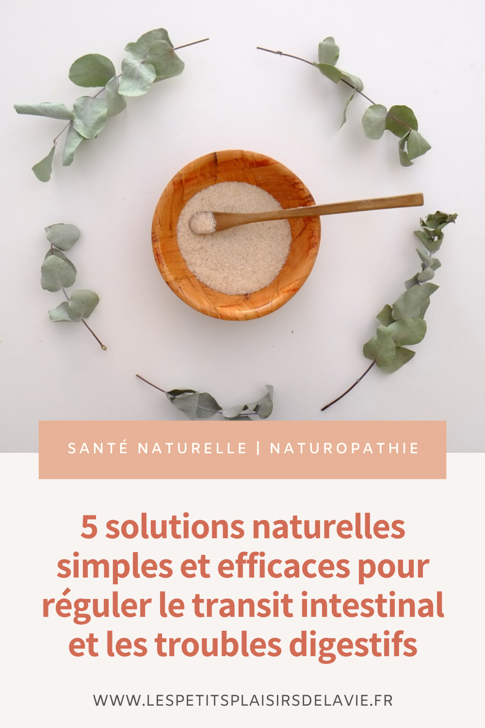 5 solutions naturelles pour la constipation et réguler le transit ...